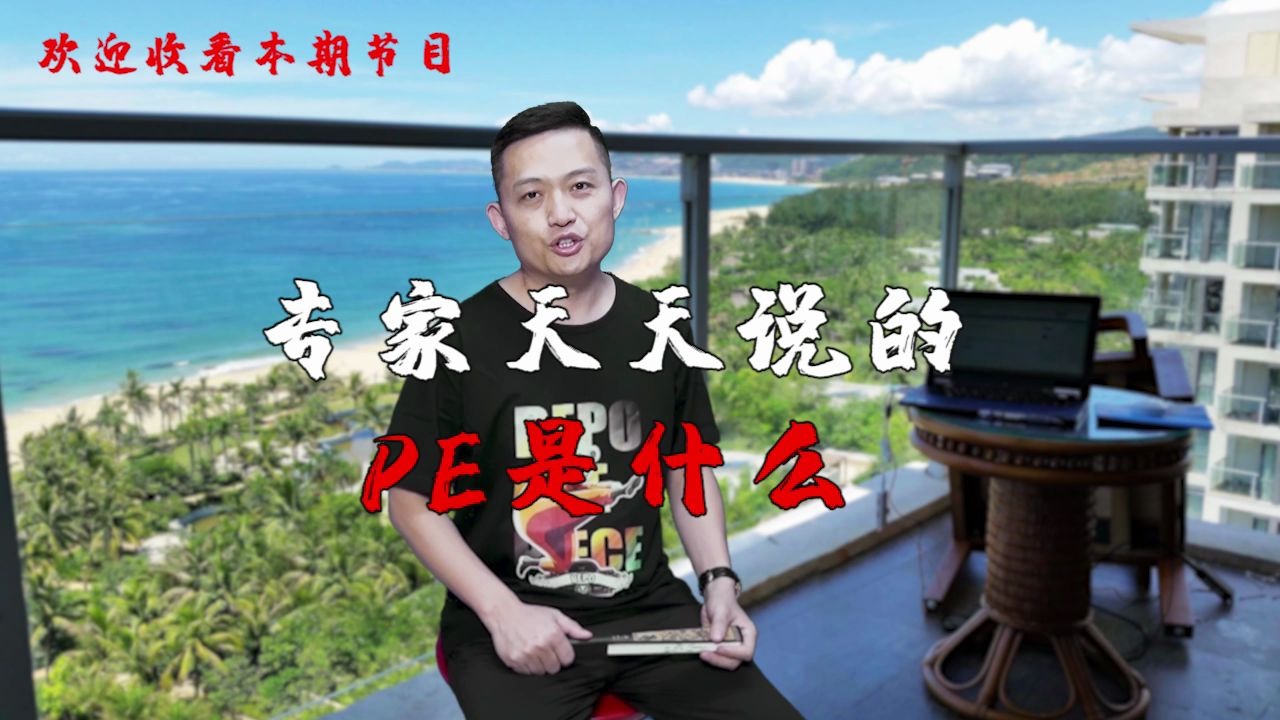 专家天天说的PE是什么