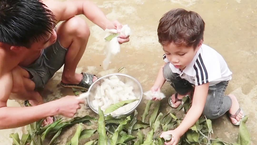 第一次见到这种蚕,还有这吐丝结茧的过程!你见过吗?