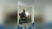 电动塞拉门第一项目