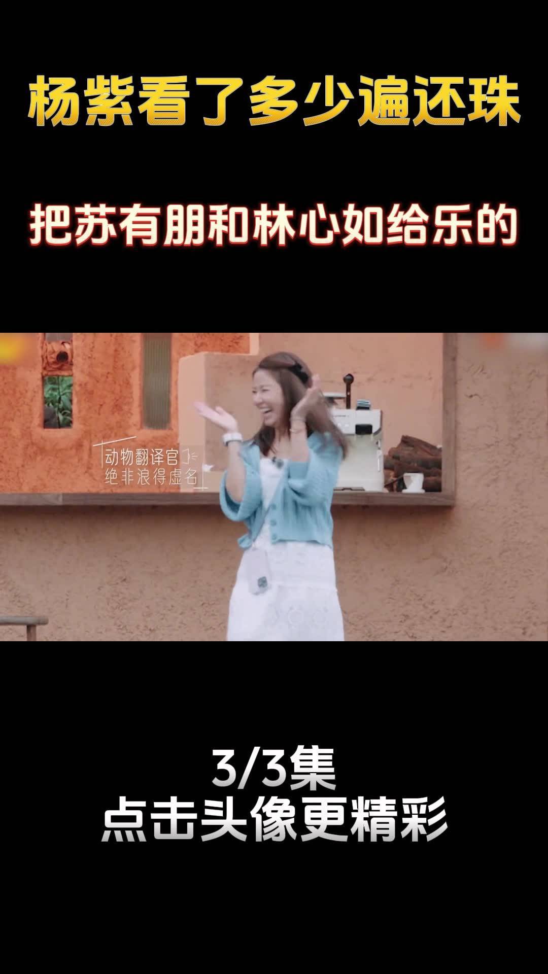 杨紫到底看了多少遍还珠格格,看把苏有朋和林心如给乐的