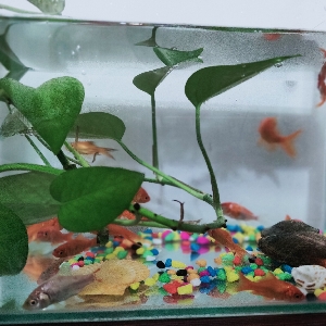 数学小李老师 