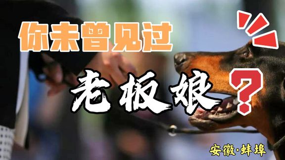 安徽蚌埠女子遛狗伤及小孩,却说:小孩没她狗值钱!有钱真任性!