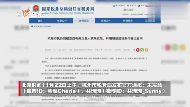 罚款共计近1亿!带货主播雪梨、林珊珊因逃税被查处