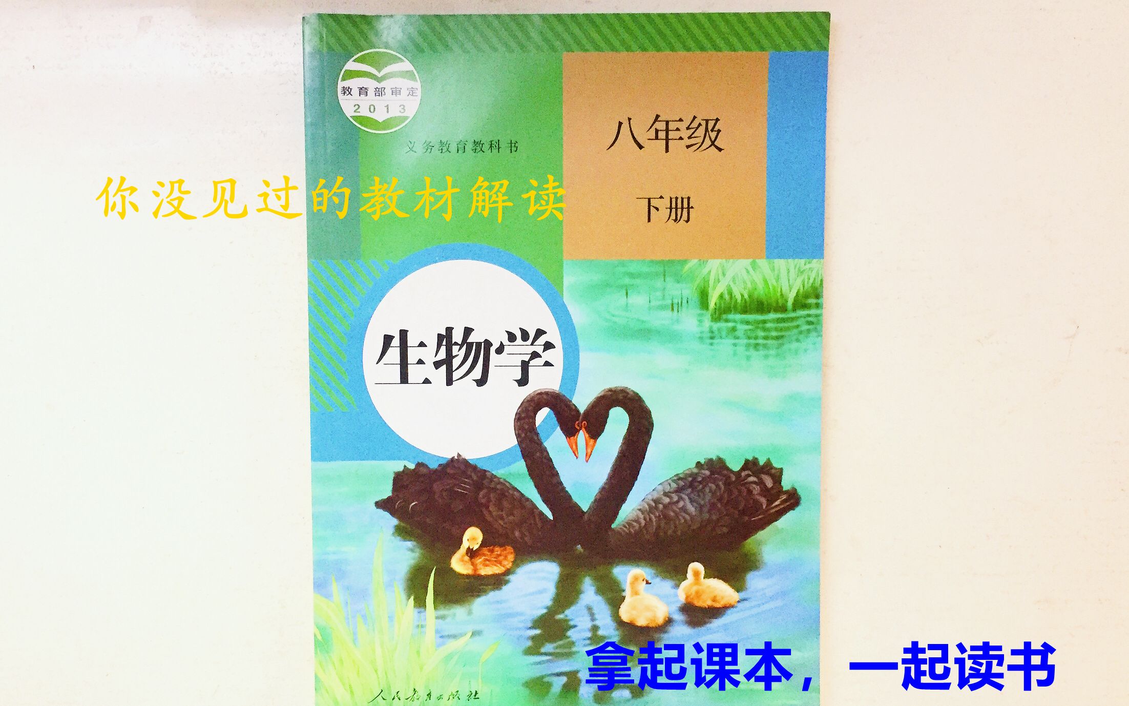 初中生物-八年级(下)7.3.2 生物进化的历程