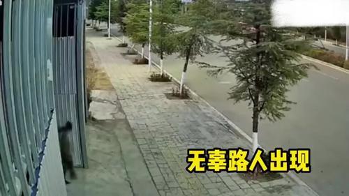 车辆超速失控撞断大树,后又撞向房屋,人在路中走祸从天上来!