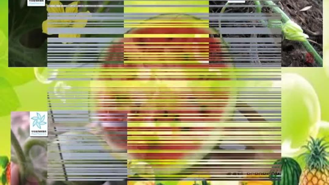 《葵花籽是果实还是种子?》微课(四年级科学,张东旭)