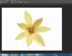photoshop教程平面设计ps入门教程ps海报