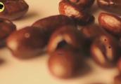 全球变暖会导致咖啡减产?”吓得我抱紧了我的小杯杯