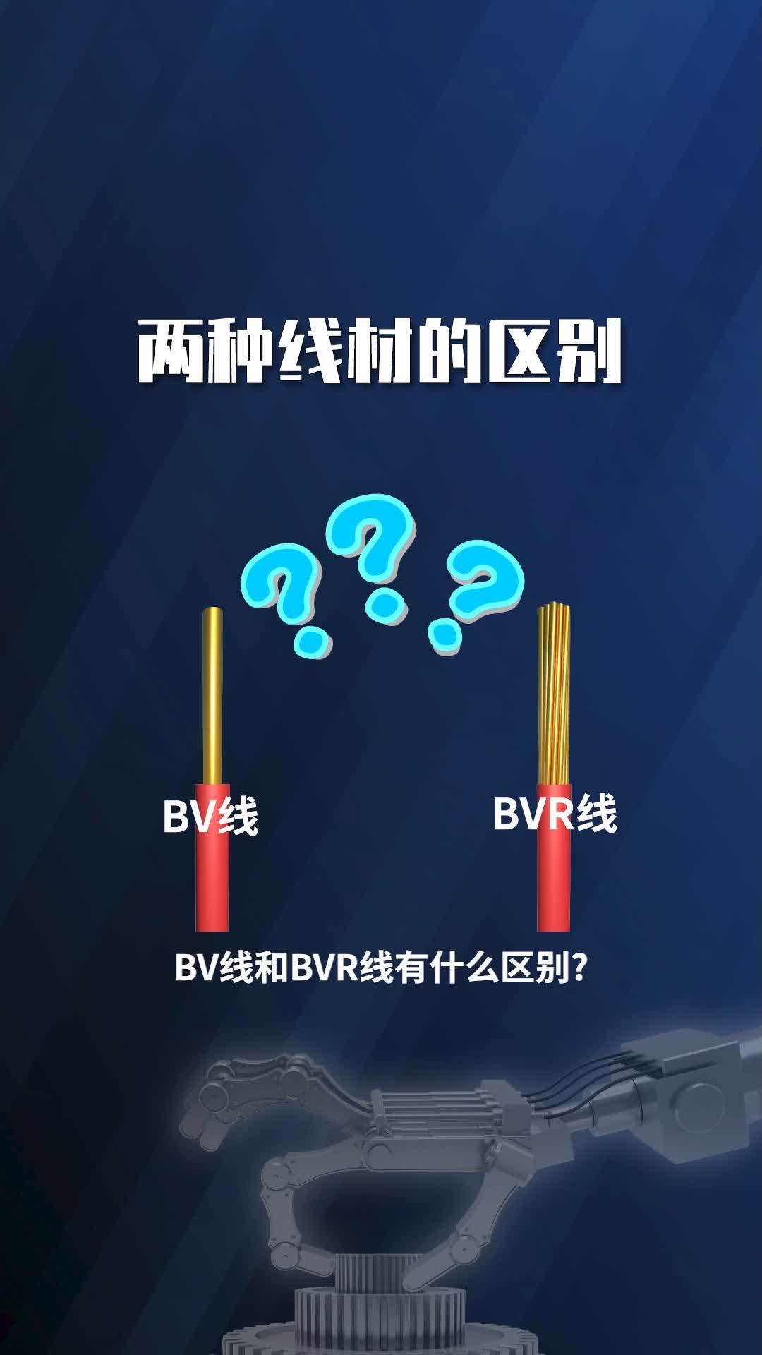 看完就知道的BV和BVR区别
