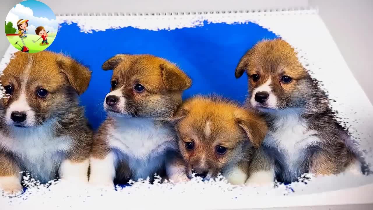 神奇沙画册画出动物图形,萌萌快乐园