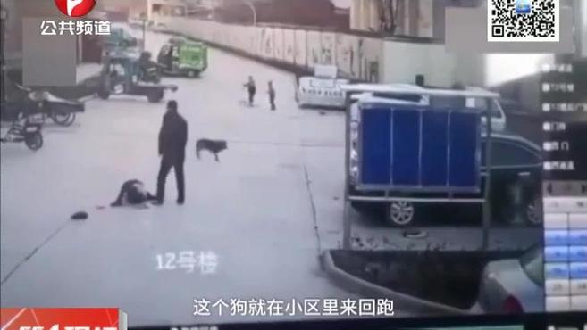 河南:女童去伯母家上网课 遭狗撕咬长达一分钟 视频曝光不忍直视