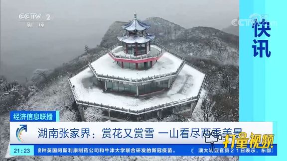 湖南张家界:赏花又赏雪,一山看尽两季美景|经济信息联播