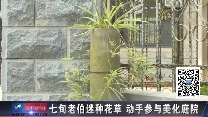 七旬老伯迷种花草 动手参与美化庭院