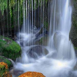 娱乐一起来愚乐 