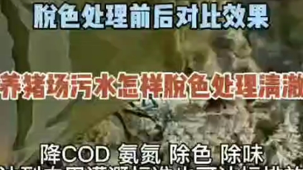 ...聚丙烯酰胺 聚合氯化铝 养猪场污水脱色除味降Cod氨氮,可达到农田...