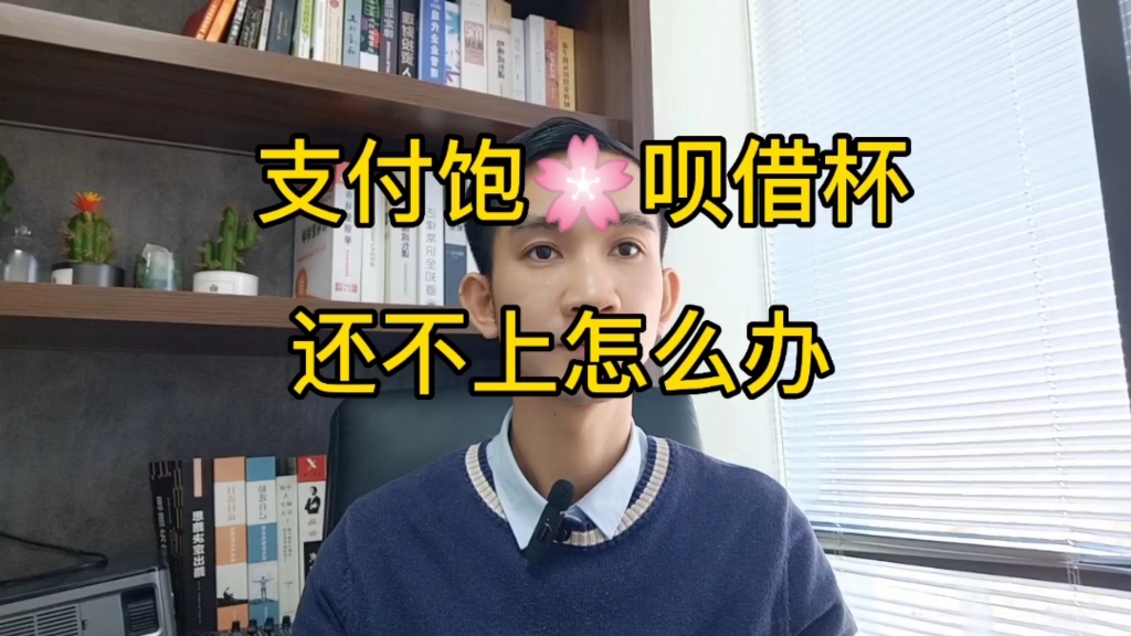 支付宝花呗借呗网商贷逾期还不上