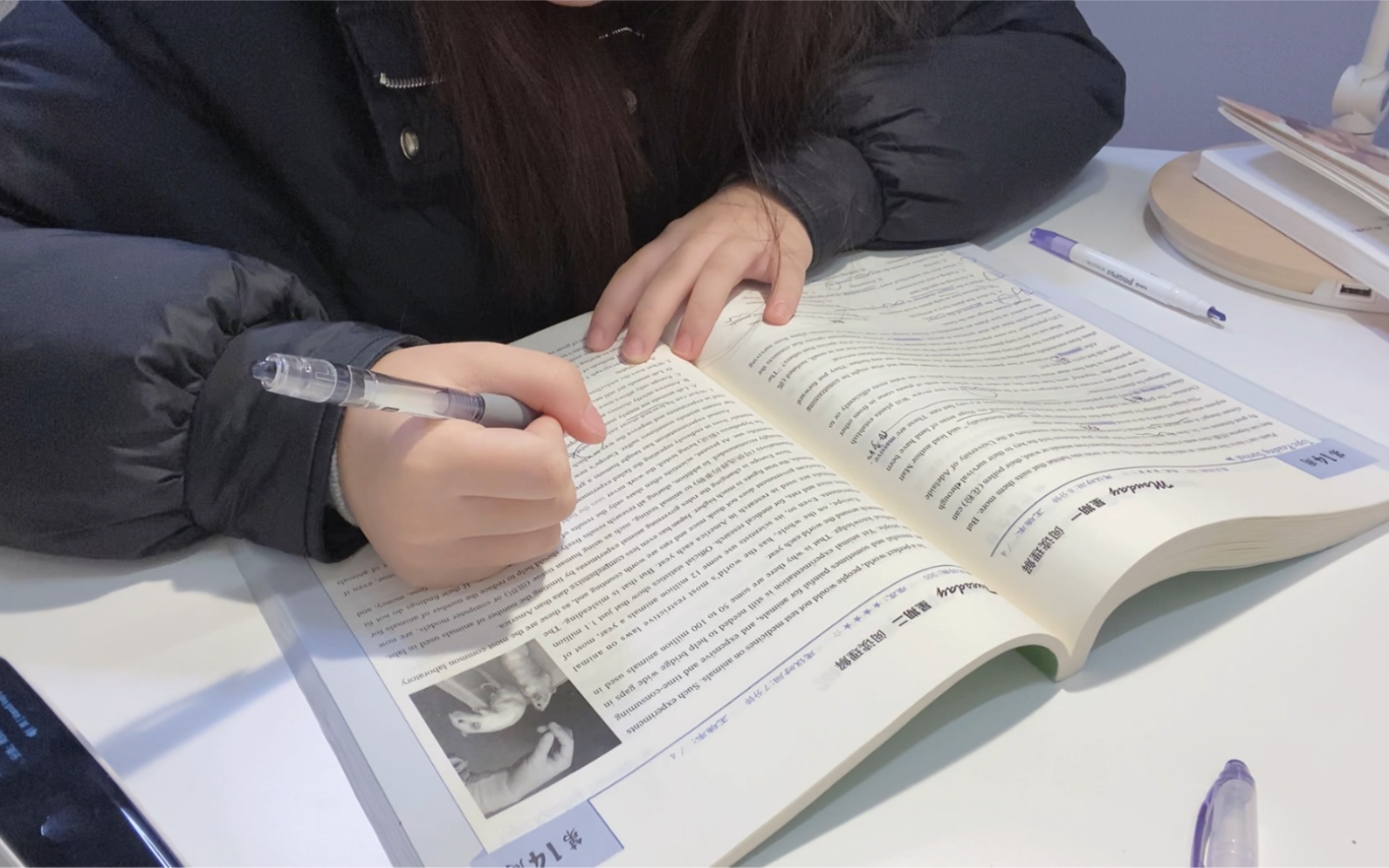 Study with me|实时学习记录|陪你学习