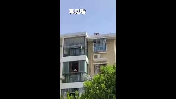 抗击“新冠病毒”的英雄们回家视频合集