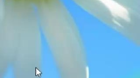 71.20161118PS实例课《图层蒙版的使用》