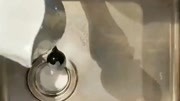 简单的咖啡拉花教学,小伙伴们学会了吗?
