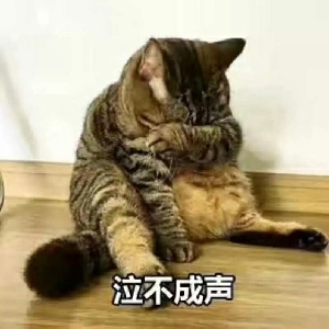 在必站买东西真的造孽 