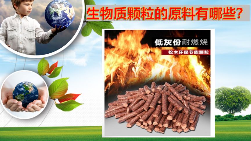 颗粒学堂:85秒详解生物质颗粒的原料有哪些
