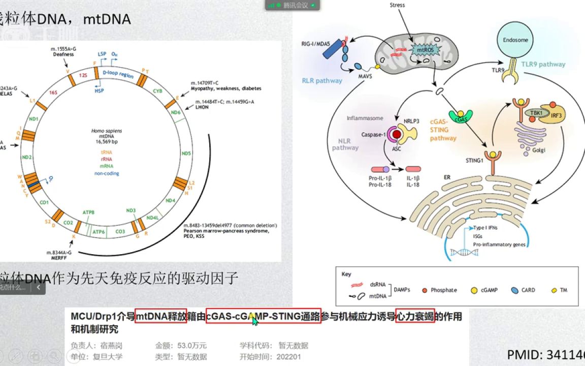 1-2-TCGA数据分析医学会员免费学