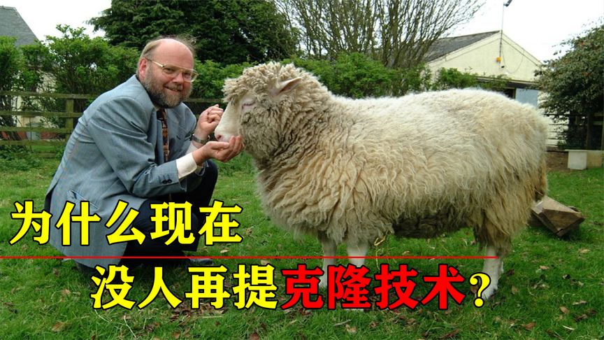 为什么现在很少提“克隆”?第一只克隆羊多莉,后来怎么样了?