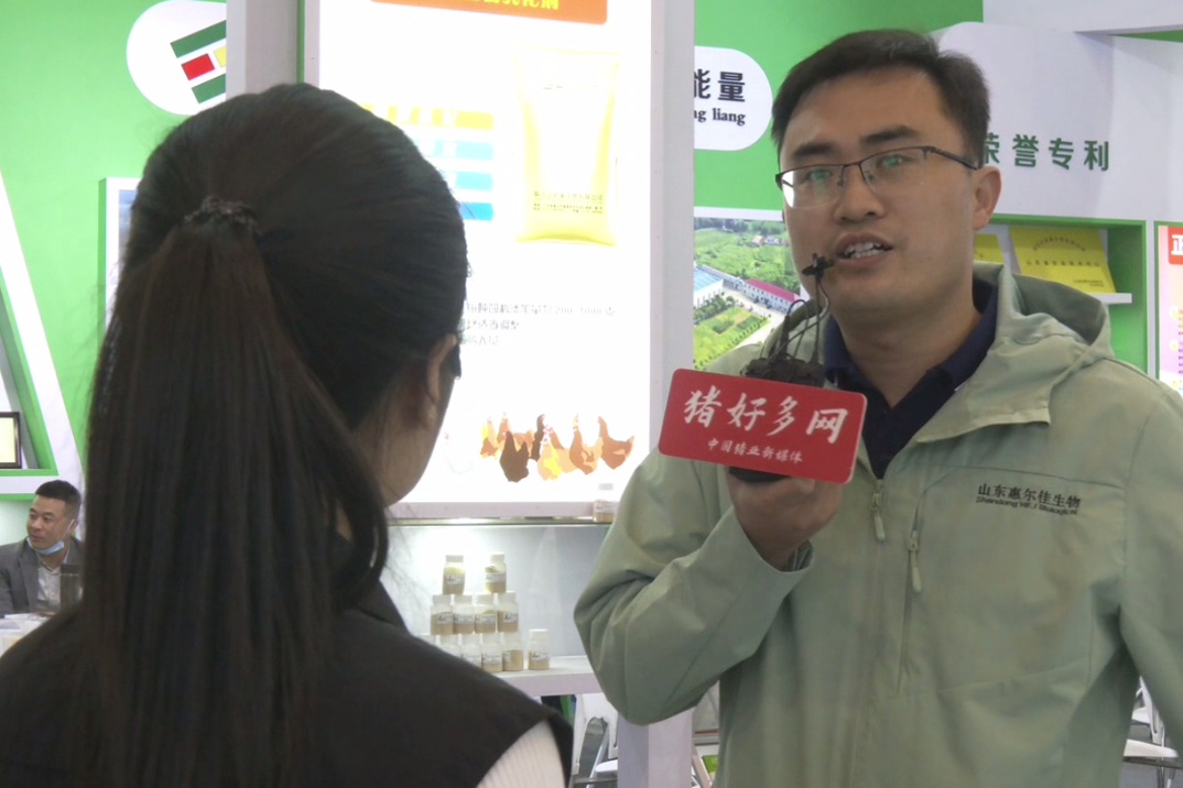 近年来饲料原料价格高涨,养殖户应该怎么提升饲料利用率?