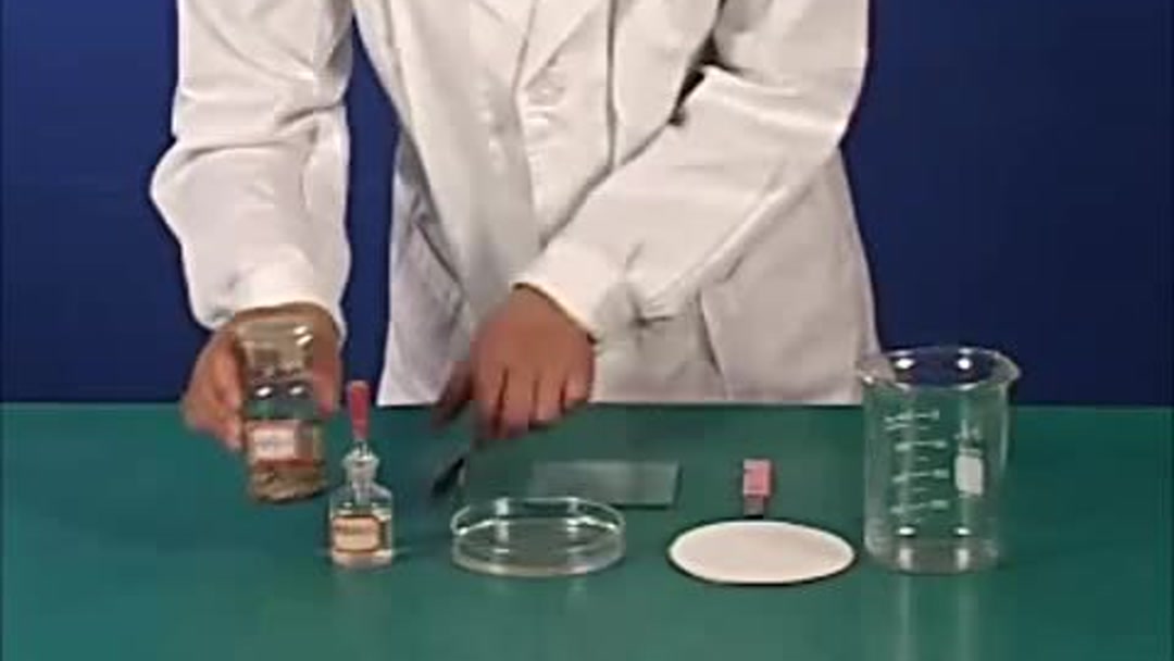 【高中化学实验视频】02钠与水的反应