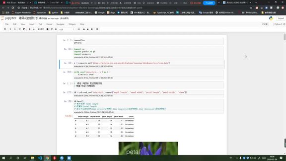 鸢尾花数据分析sklearn机器学习python