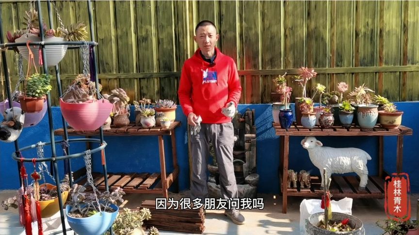 DIY多肉木桌材料价格攻略详细介绍,防腐木桌更适合放多肉植物