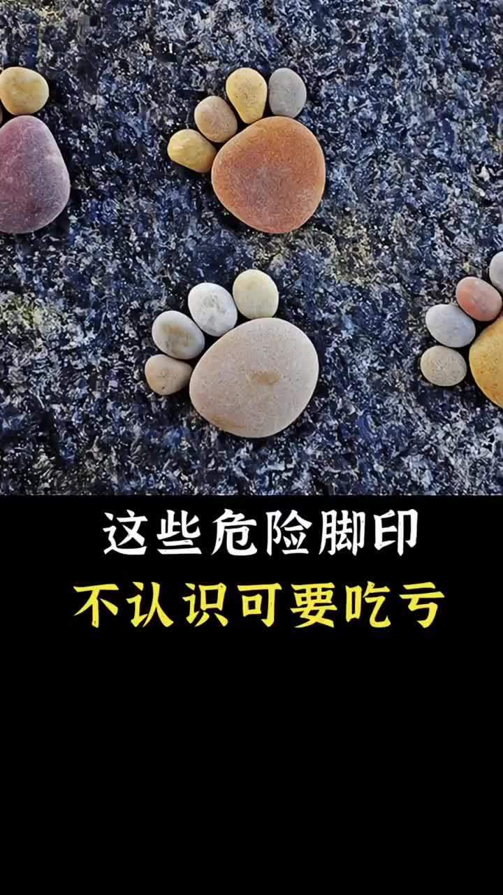 不认识这些动物的脚印要吃大亏