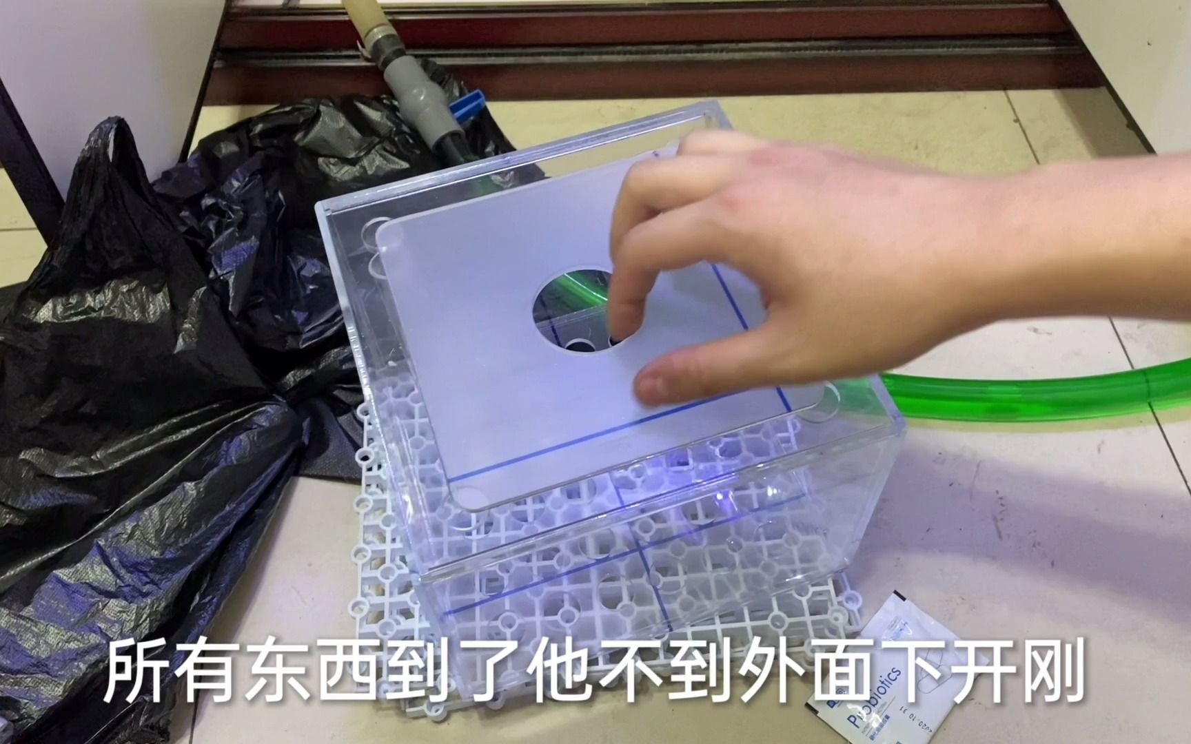 一下午的时间终于把80大缸整好了,养好水准备放黄金眼镜蛇雷龙鱼