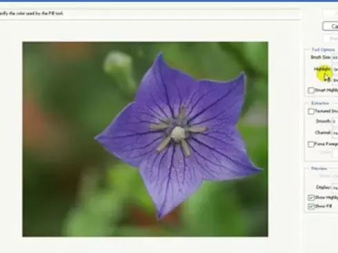 Photoshop cs4 从入门到精通 教程-40抽出滤镜的使用