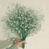 王桂花说情感 