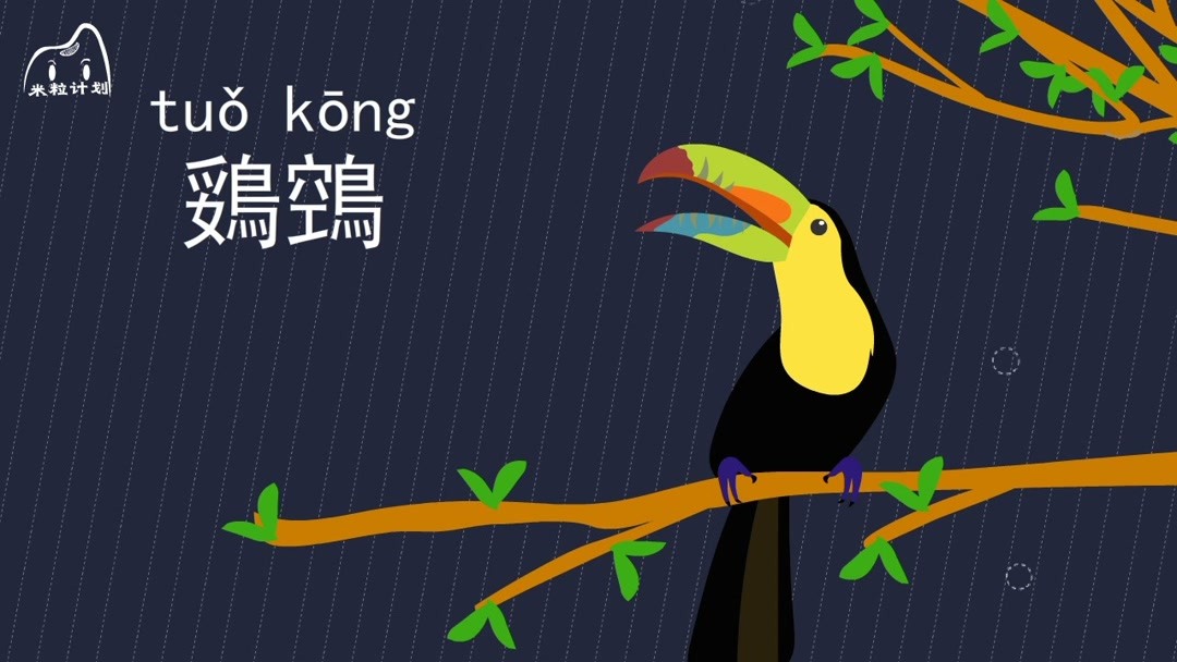 巨嘴鸟的大嘴有哪些与众不同之处?