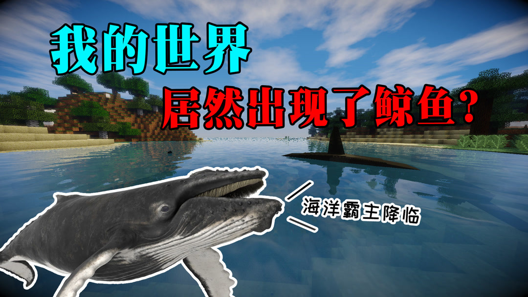 我的世界:海洋里居然有鲸鱼?这个神奇的mod带你进入动物世界!