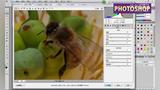 PS教程Camera RAW调色教程 ACR功能详解 ACR应用 PS案例进阶教程