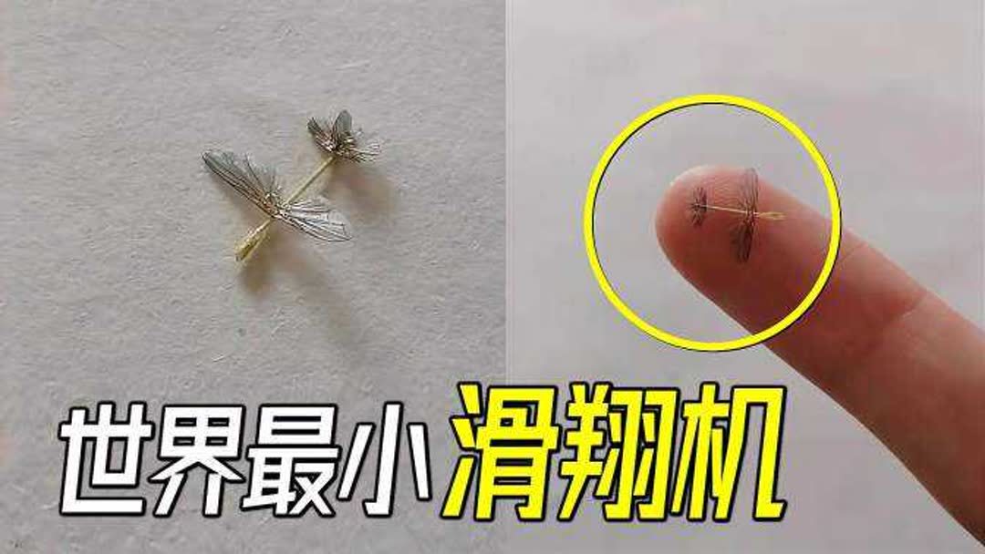 网友研发世界最小滑翔机!极限状态下的升力体飞行器