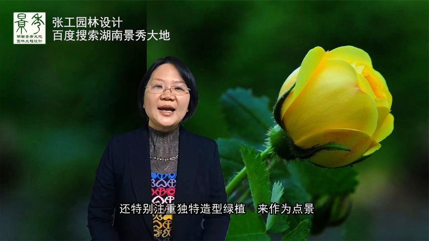 园林景观设计,旅游规划设计怎么写,湖南景秀大地张工园林设计