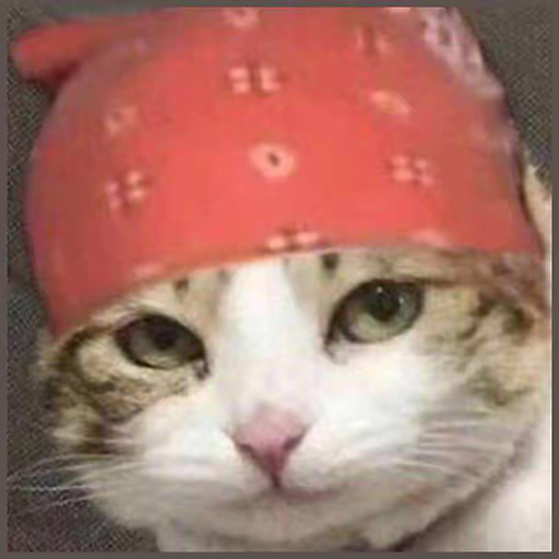 只会说6的高中生 