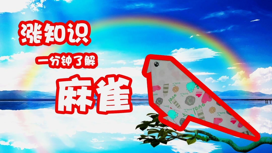 一纸《麻雀》唱哭无数人,简单动物创意手工折纸麻雀