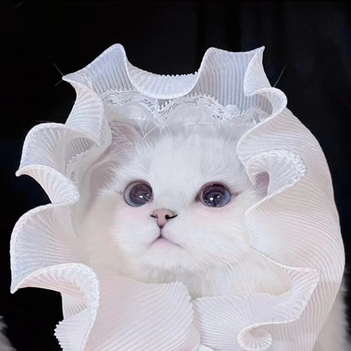 芳芳老师爱分享 