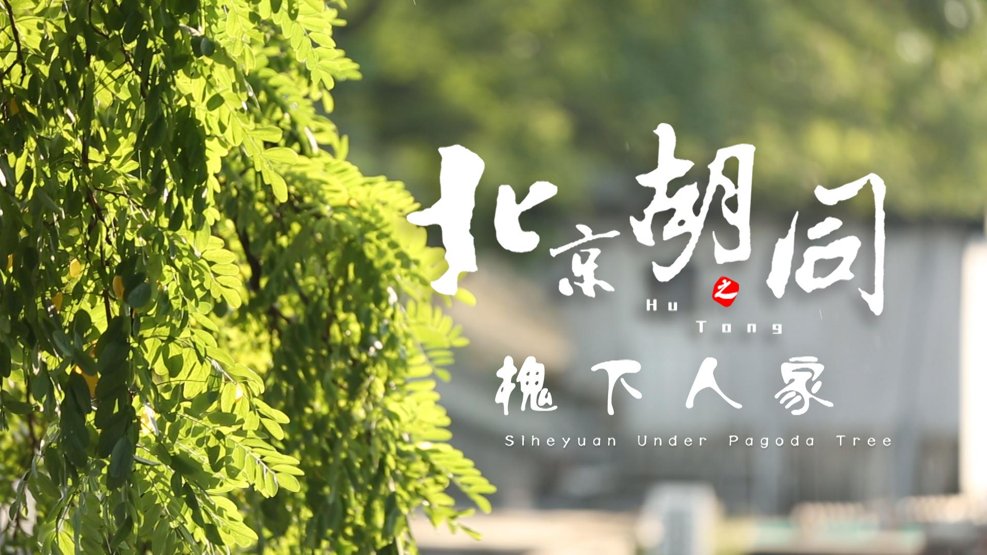 北京胡同:寻找“门当户对”,讲传统四合院的建筑文化