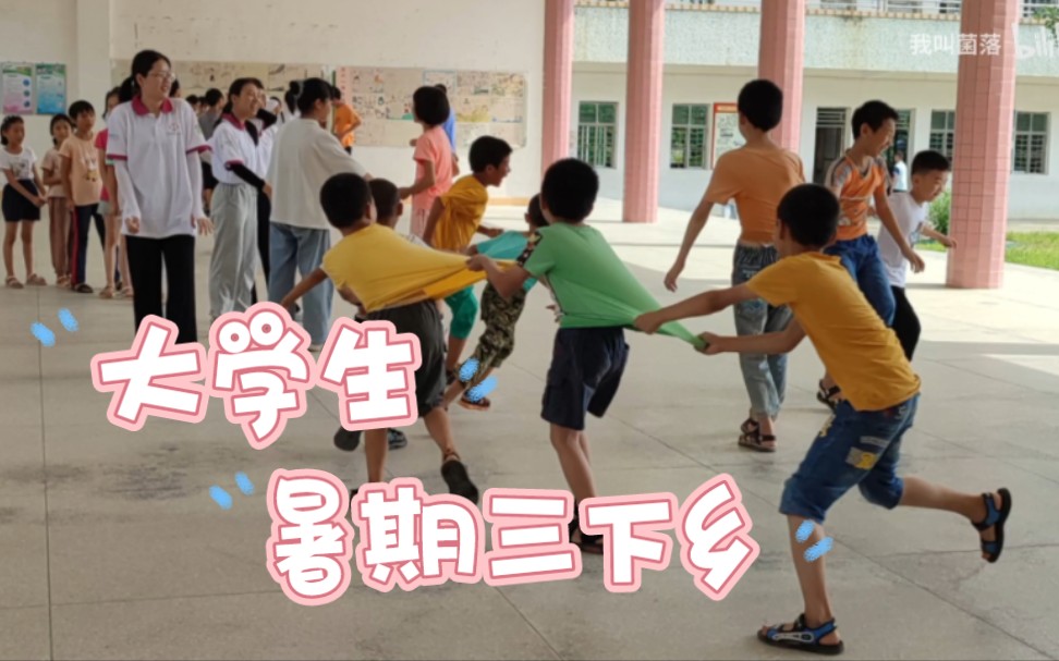 【菌落】大学生暑期三下乡