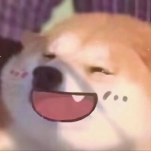 会飞的铅笔 