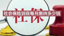 社会保险到底每月缴纳多少钱?如何门不出户计算个人负担部分?