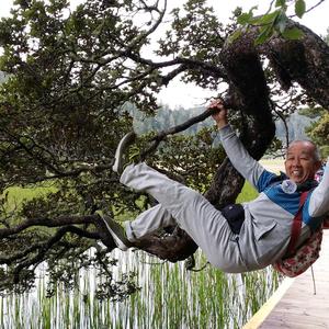 飞翔的中国人8F7E 