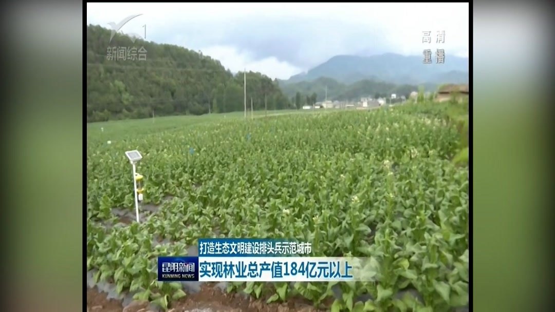 实现林业总产值184亿元以上